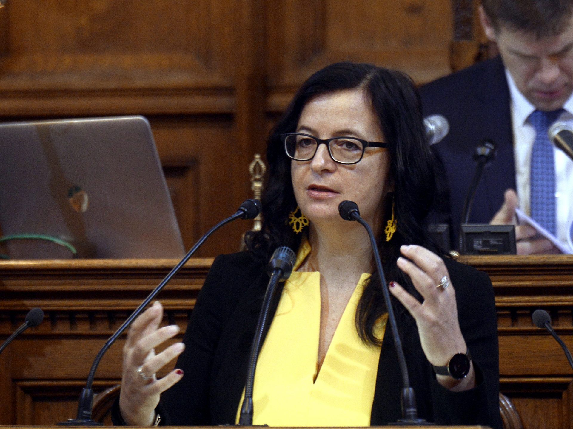 Wiener Stadträtin Sima auf Facebook beleidigt: 160 Euro Strafe ...