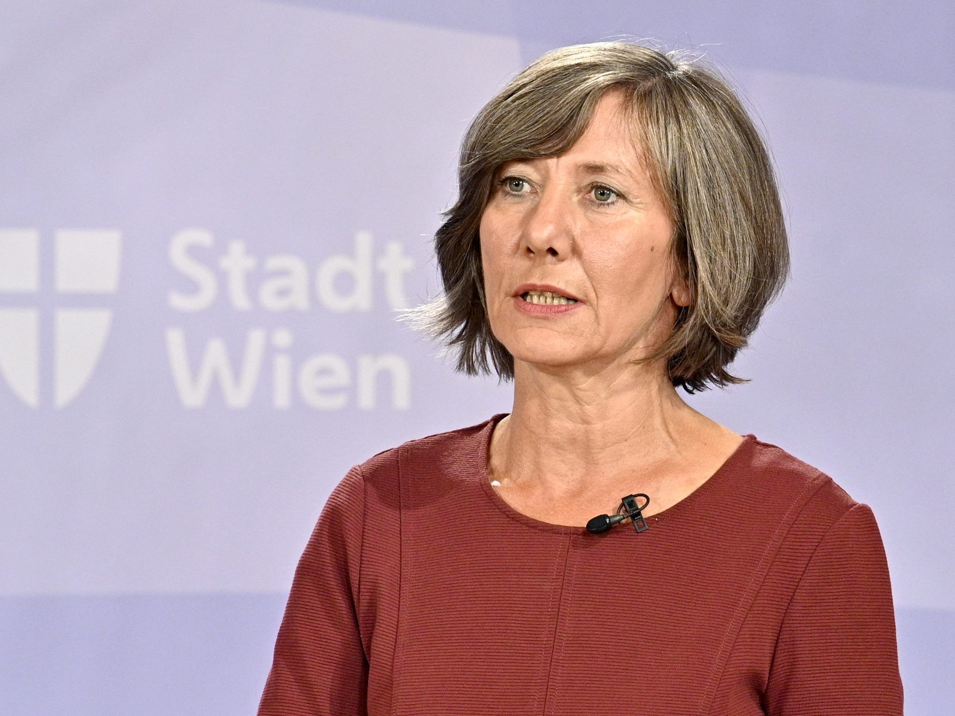 “Mache keine halben Sachen”: Hebein bleibt Parteichefin der Wiener ...