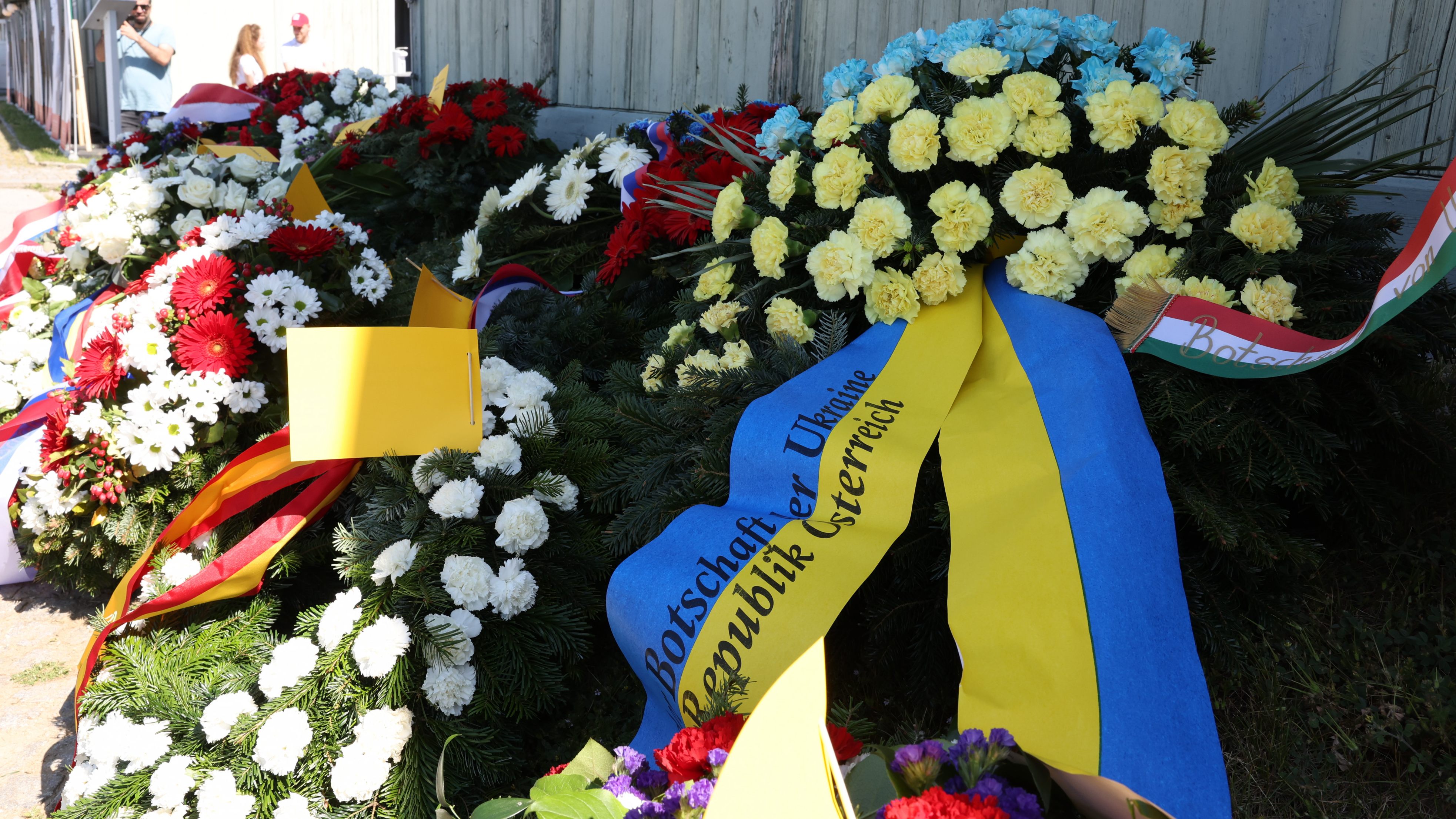 "Erlebnis Zoo" mit fantastischen Bildern und interessanten Infos - Vienna Online