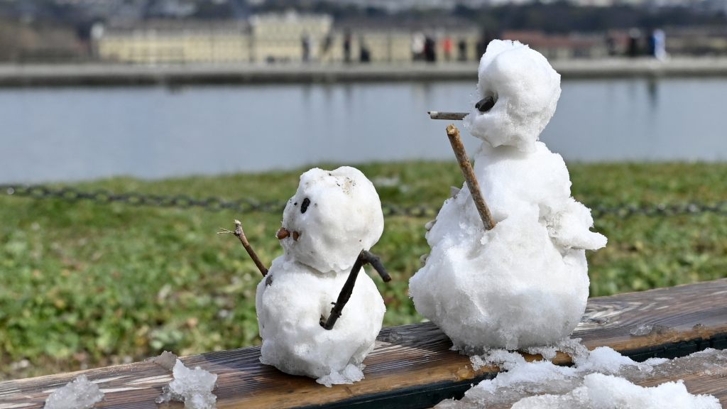 Hunde verstehen: "Clever Dog Lab" an der Vetmeduni Wien eröffnet ...