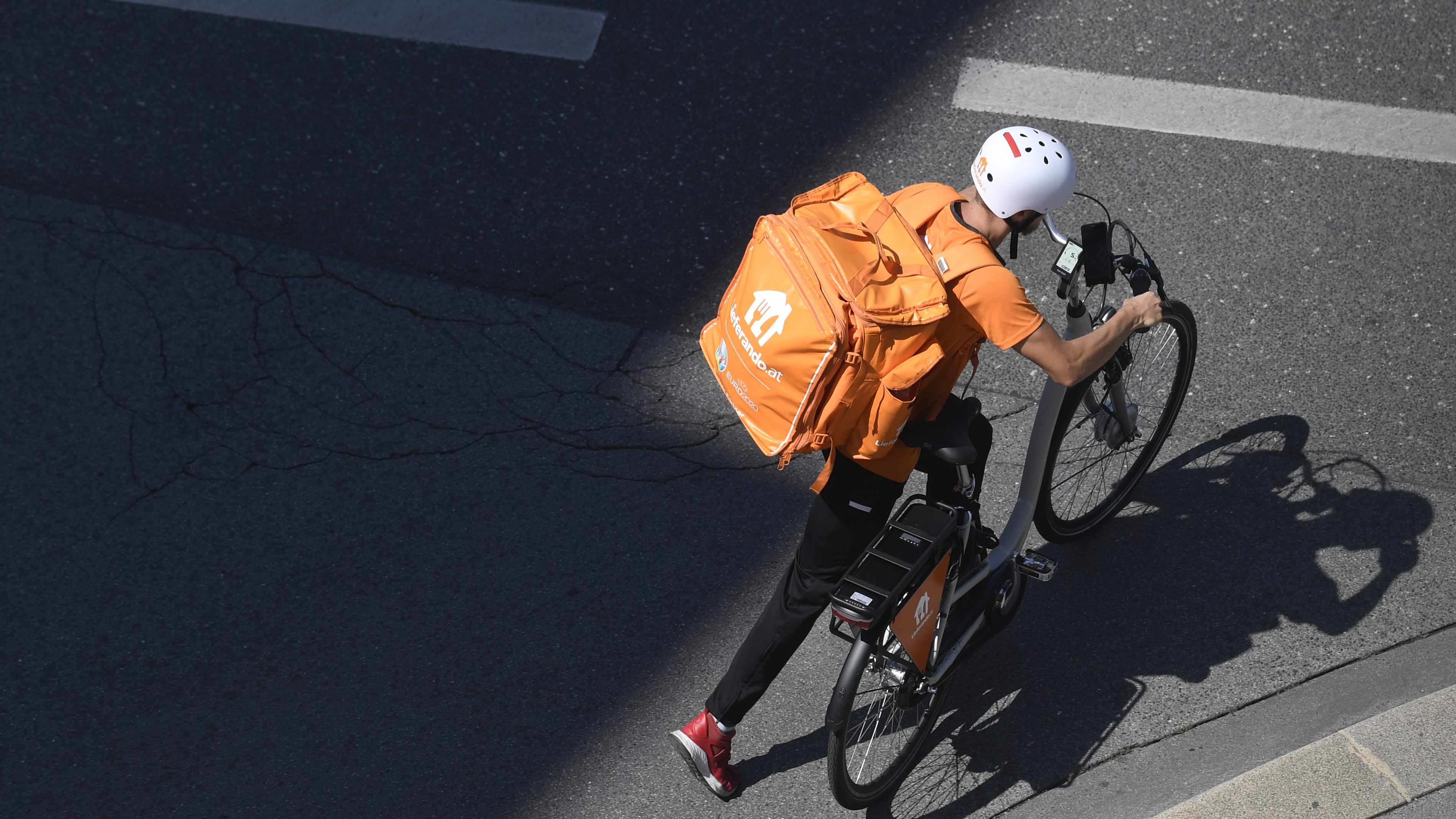 Hunde verstehen: "Clever Dog Lab" an der Vetmeduni Wien eröffnet ...