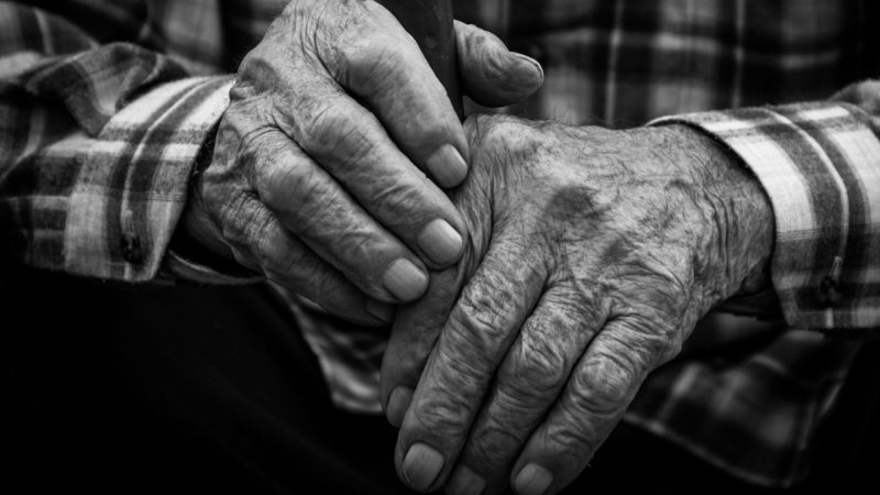 "Tanz der Vampire": 20-Jahr-Jubiläum in Wien - Vienna Online